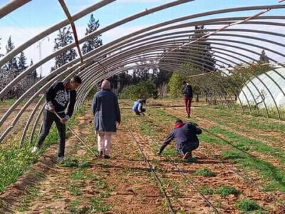 Zoom sur… le centre de formation professionnelle en arboriculture dans ...